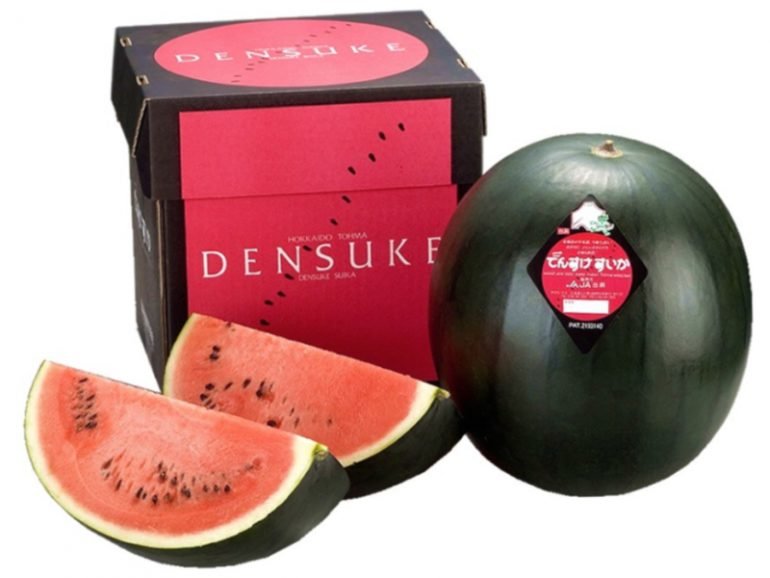 The 10 Most Expensive Food On Earth - Travel Patriot